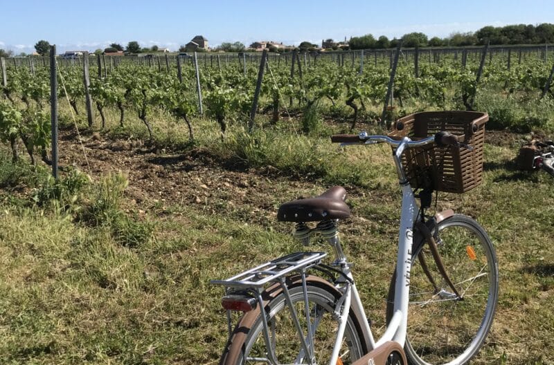 French immersion courses in France, French learning