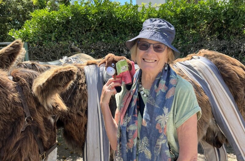 Stay in France, French immersion experience